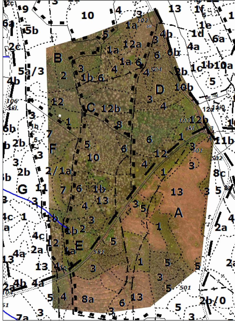 Letecké práce v lesnictví - South Drones